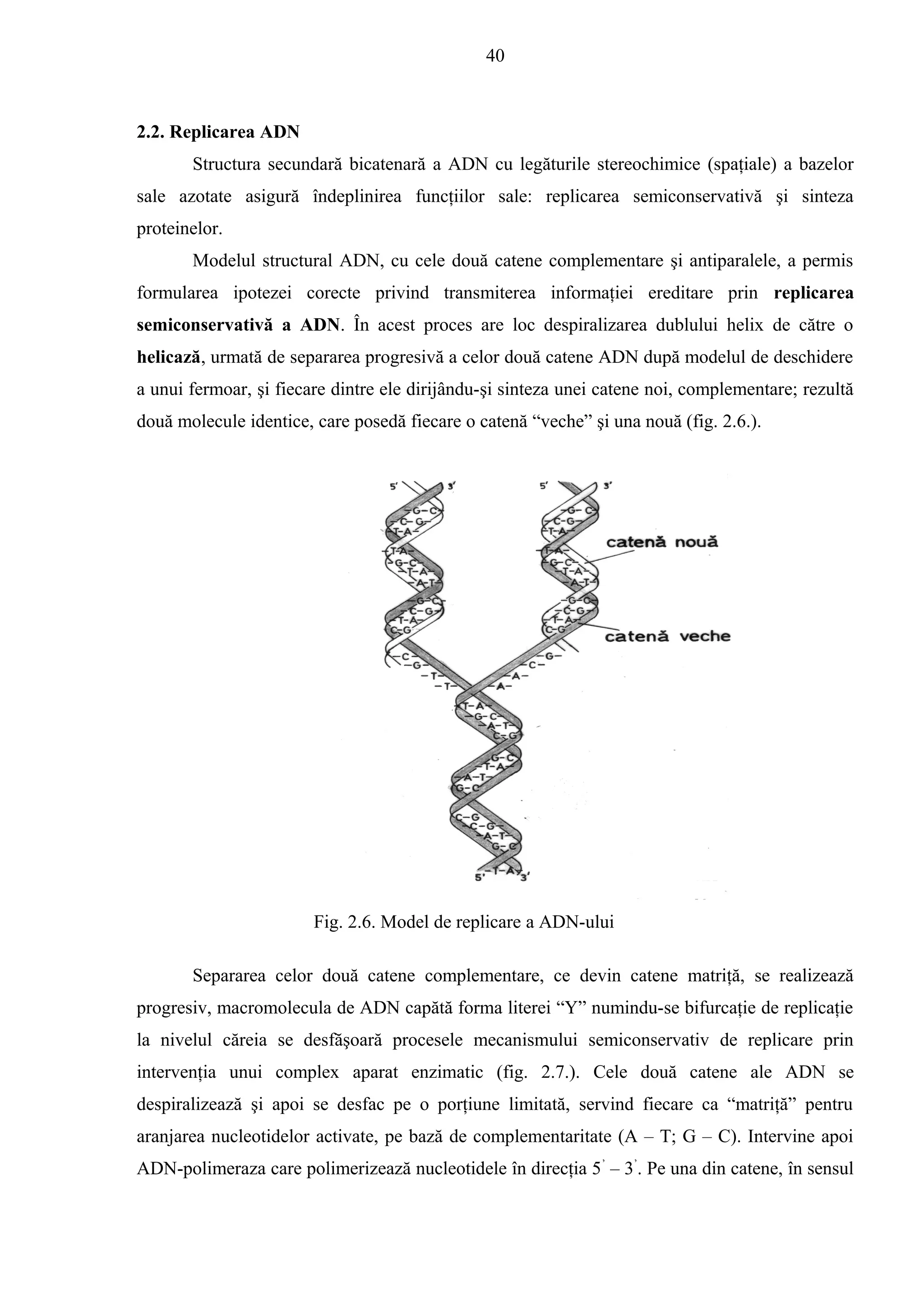 Genetica comportamentului uman | DOC