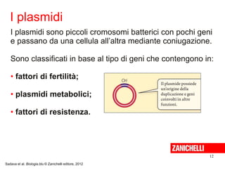 Genetica di virus e batteri | PPT
