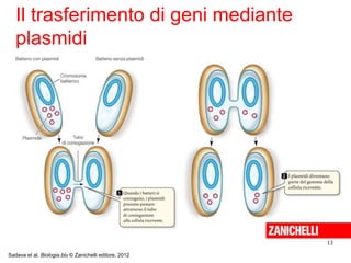Genetica di virus e batteri | PPT