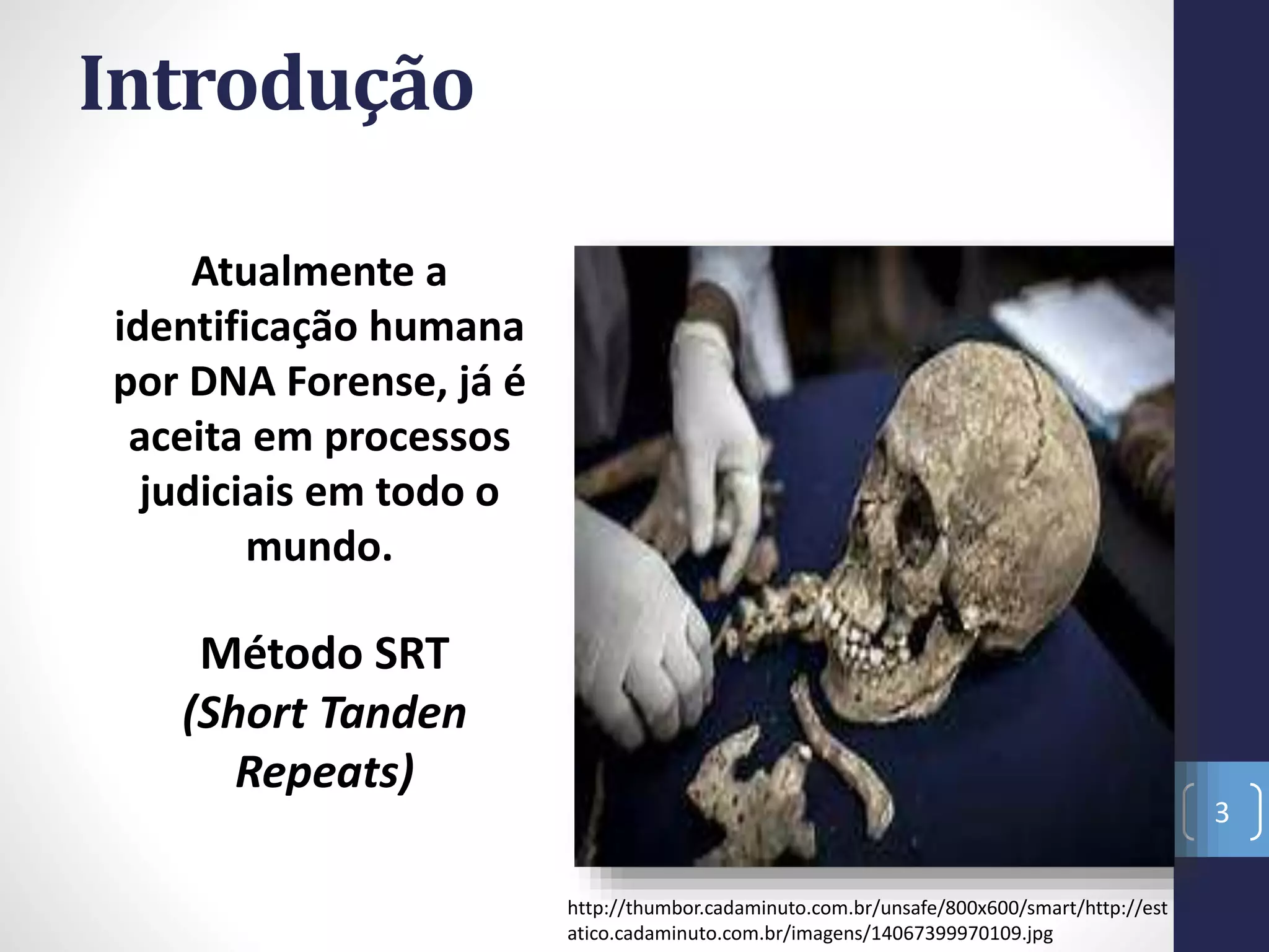 Genetica forense | PPT