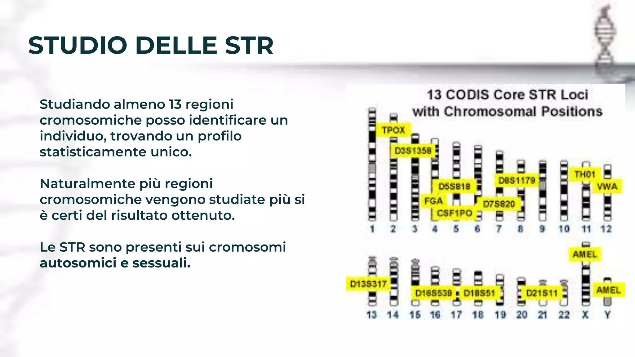 Genetica forense sabrina rossi | PPTX