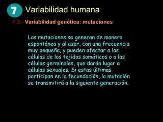 Genética humana 7 | PPT