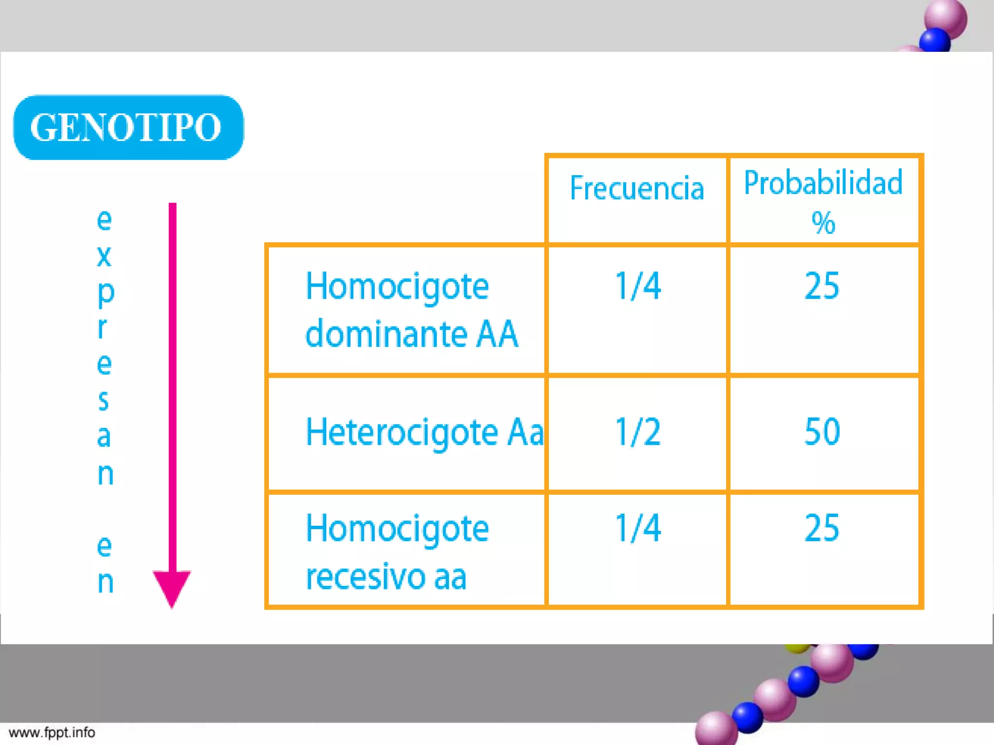 Genetica: Primera ley de Mendel. | PPTX