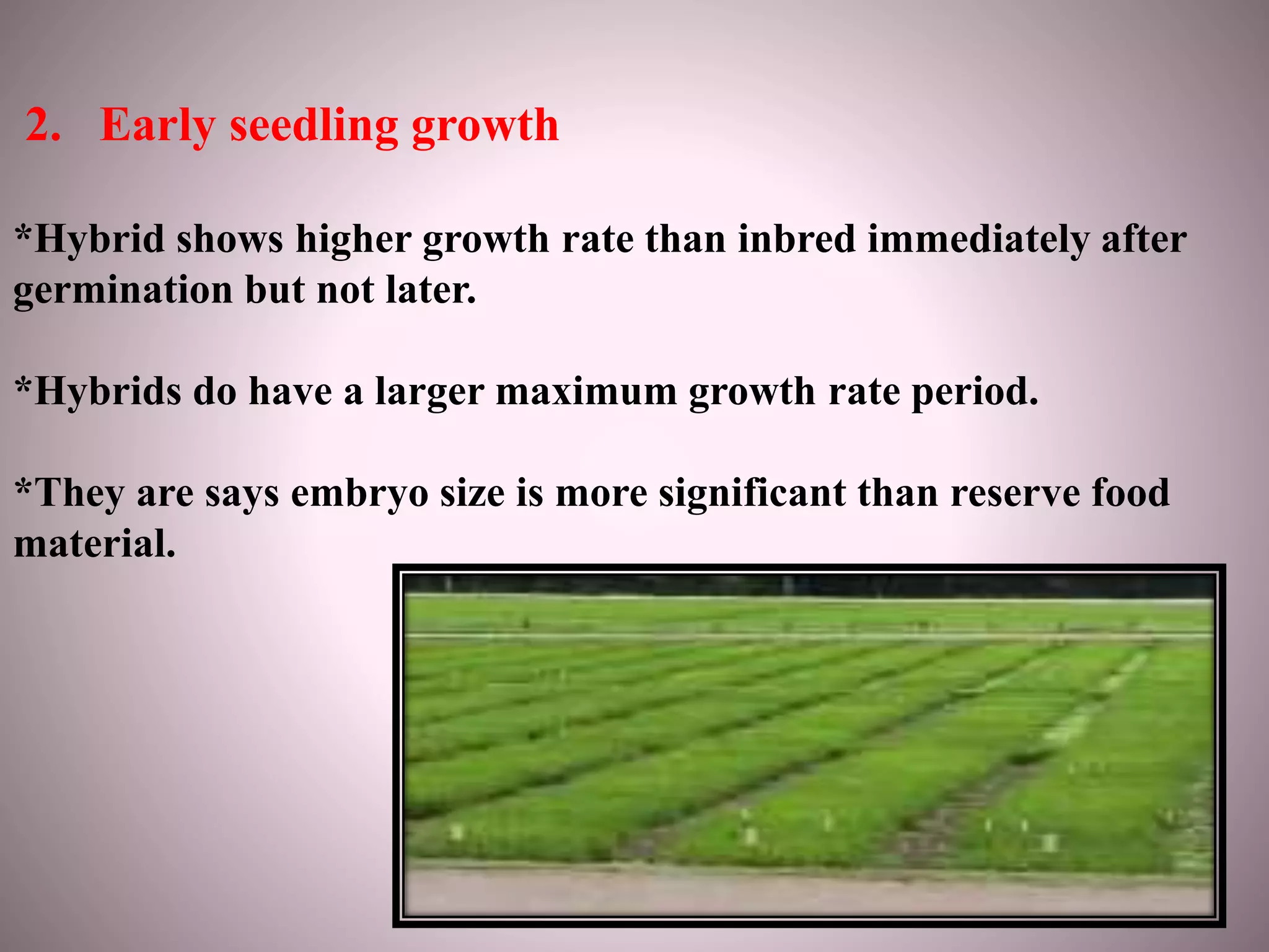 Genetical and physiological basis of heterosis and inbreeding | PPTX