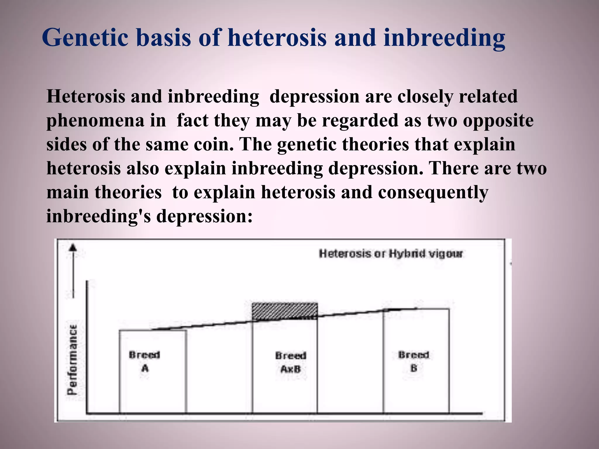 Genetical and physiological basis of heterosis and inbreeding | PPTX