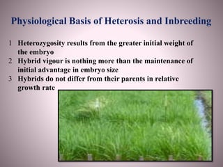 Genetical and physiological basis of heterosis and inbreeding | PPTX