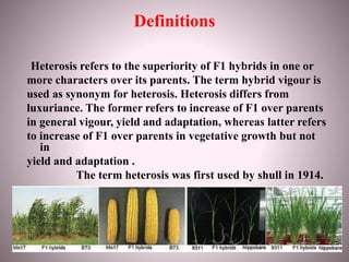 Genetical and physiological basis of heterosis and inbreeding | PPTX
