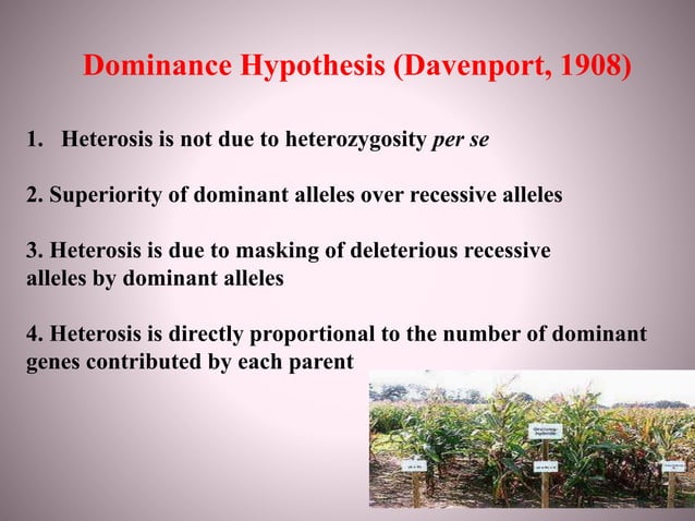 Genetical and physiological basis of heterosis and inbreeding | PPTX