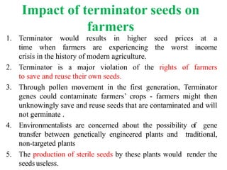 Engineering of crops and seed termination technology | PPTX