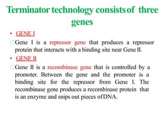 Engineering of crops and seed termination technology | PPTX