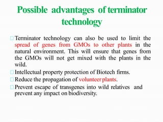 Engineering of crops and seed termination technology | PPTX