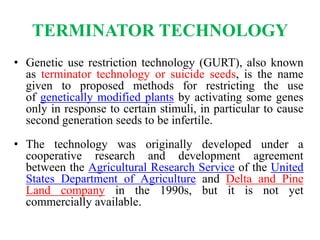 Engineering of crops and seed termination technology | PPTX
