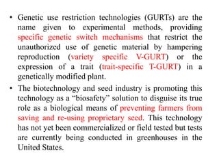 Engineering of crops and seed termination technology | PPTX