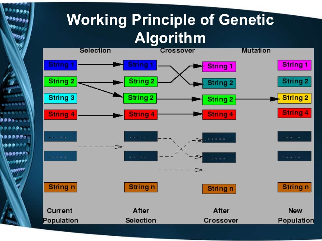 Genetic algorithm Genetic algorithm