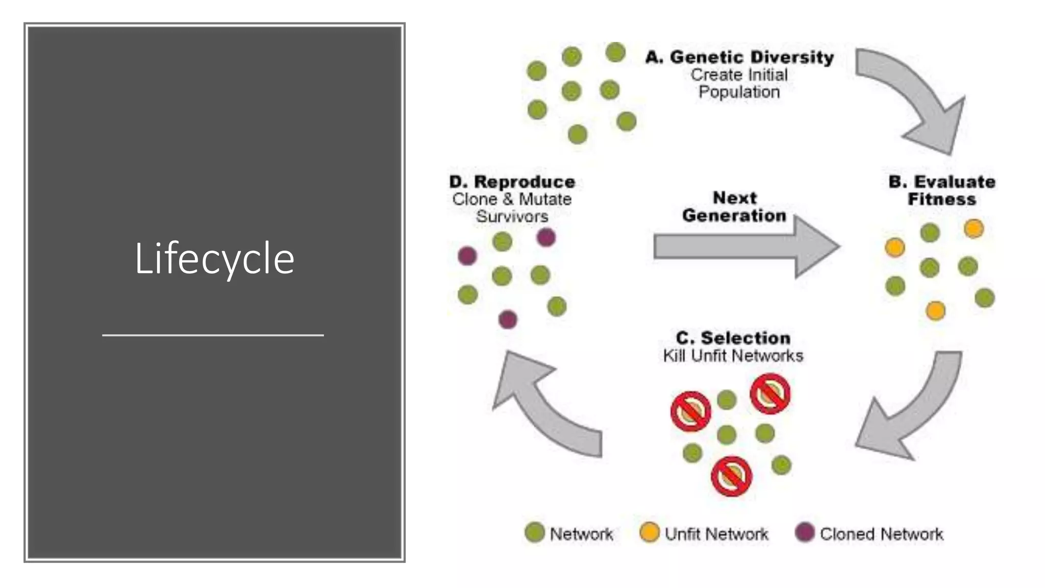 Introduction to Genetic Algorithm | PPTX