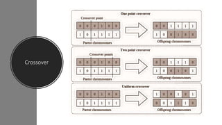 Introduction to Genetic Algorithm | PPTX
