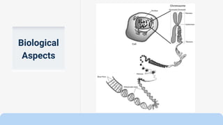 Genetic Algorithm (1).pdf | Genetics | Science
