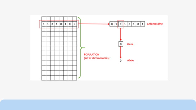 Genetic Algorithm (1).pdf | Genetics | Science