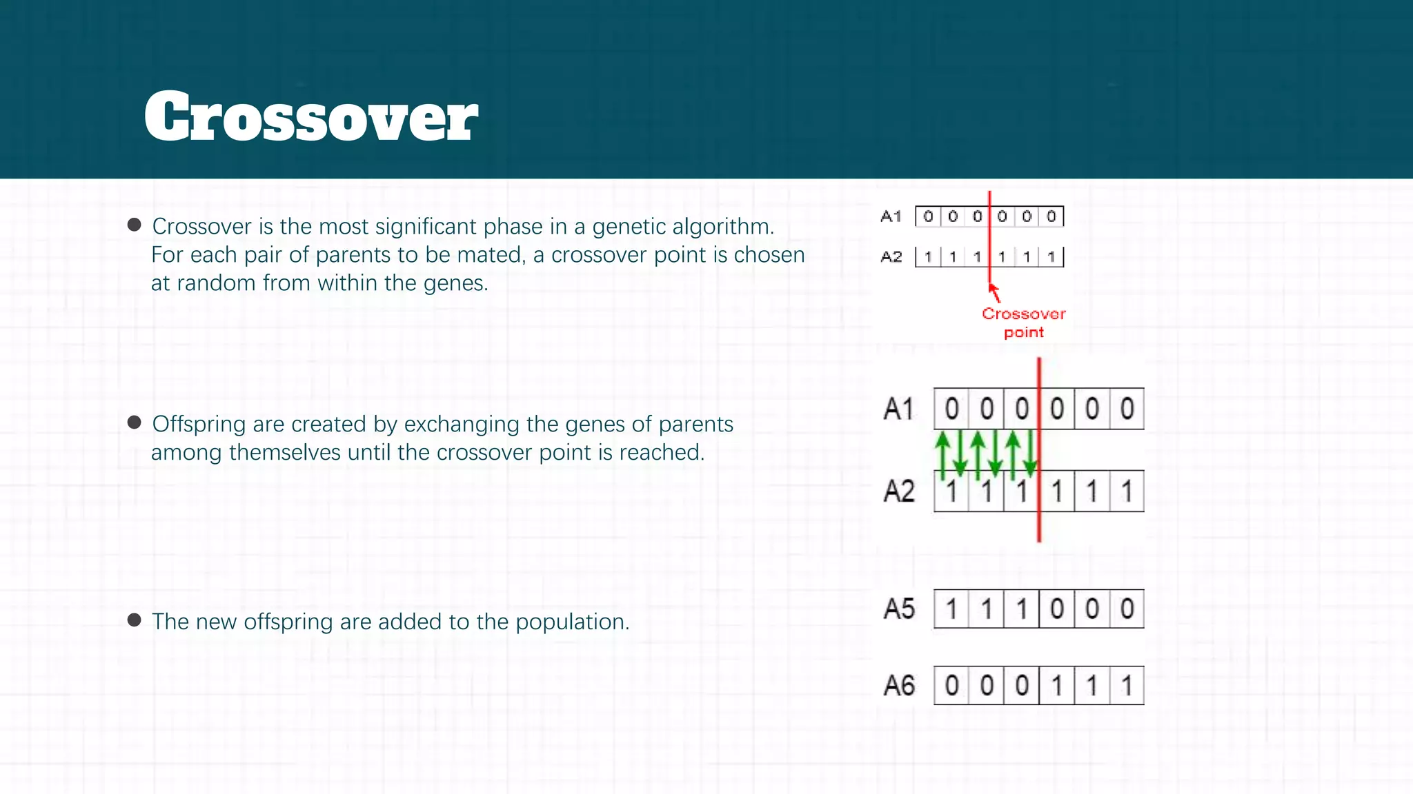 Genetic Algorithm 2 -.pptx | Genetics | Science