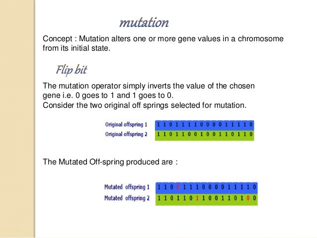 Introduction to Genetic algorithm