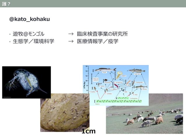 Genetic algorithm full scratch with R | PPT