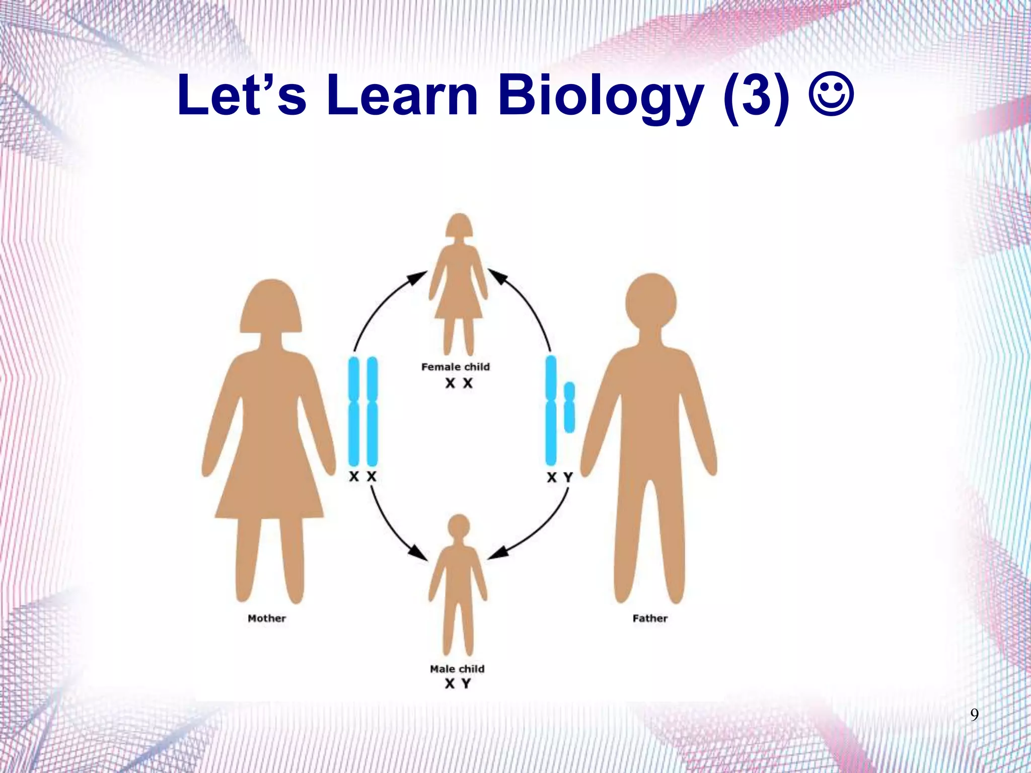 Genetic Algorithm by Example | PPTX
