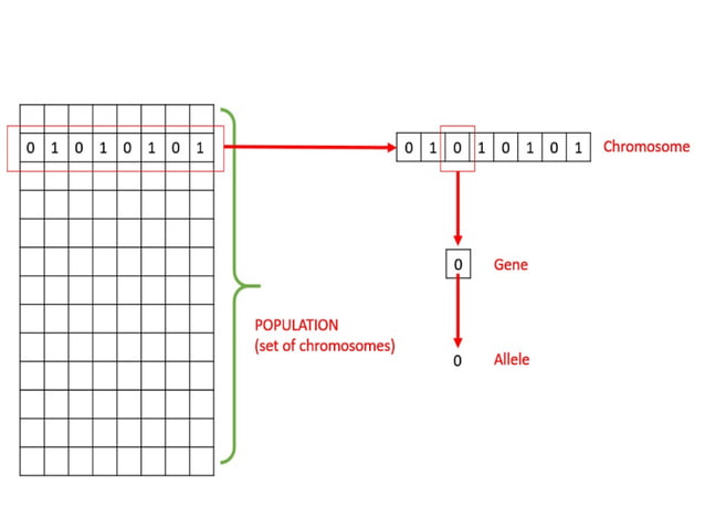 Genetic algorithm ppt | ODP