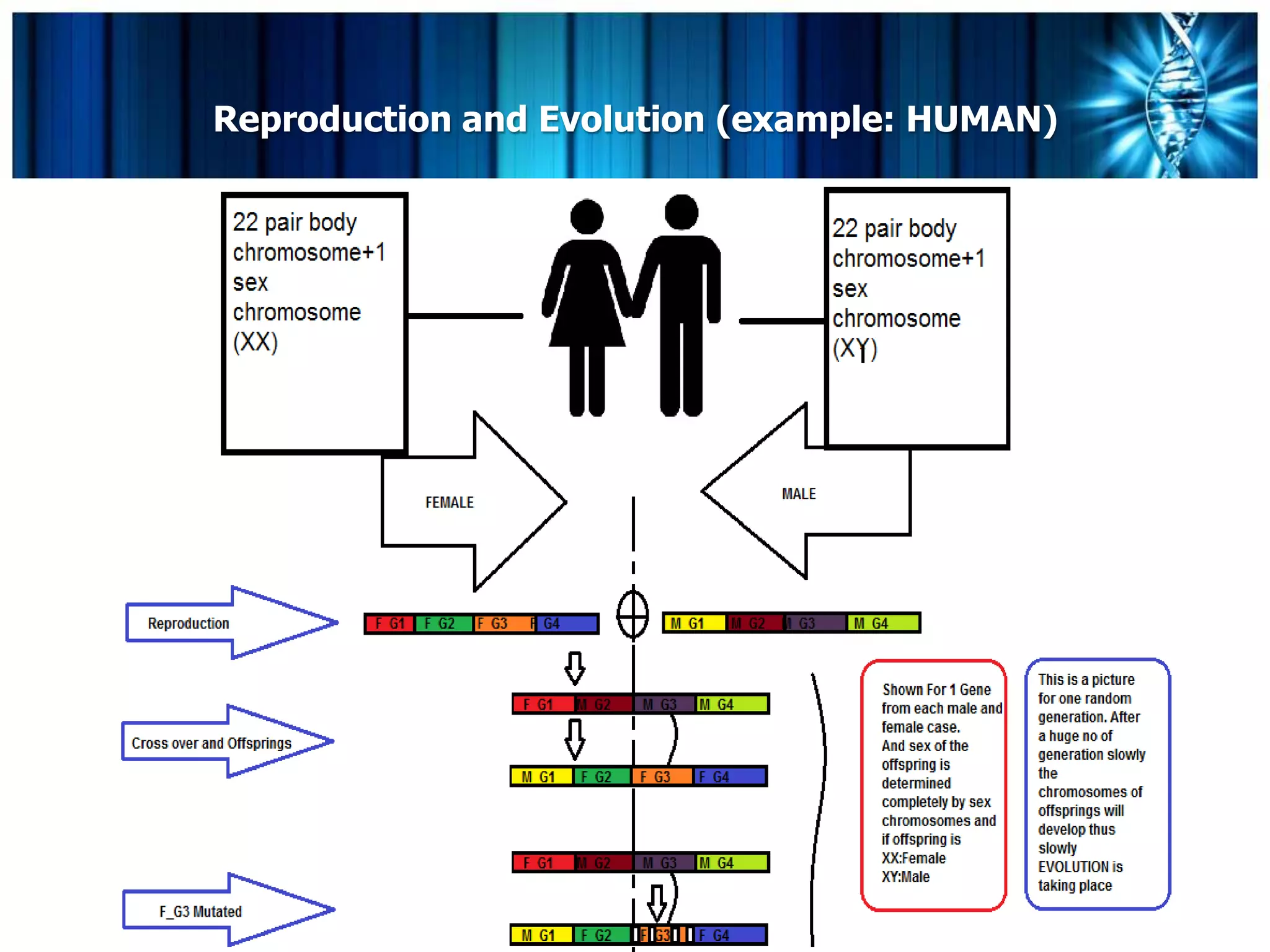 Genetic algorithm_raktim_IITKGP | PPTX
