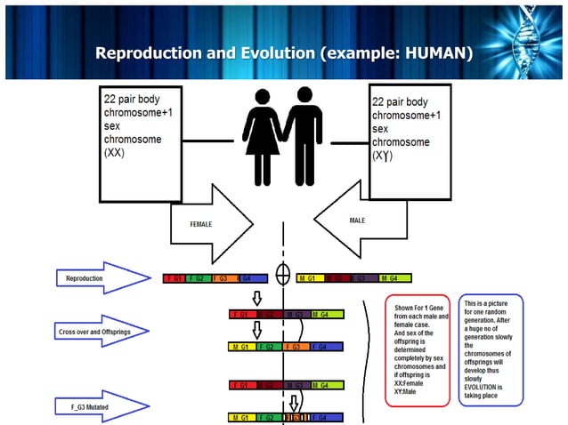 Genetic algorithm_raktim_IITKGP | PPTX