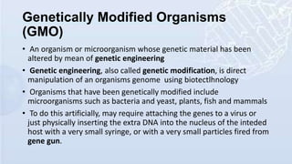 gmo genetically modified organism shhshs | PPT