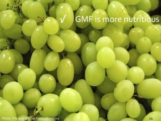 Genetically Modified Food | PDF