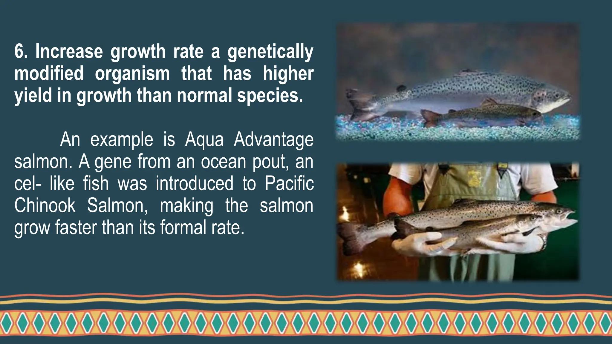 Genetically Modified Organisms (GMO).pptx