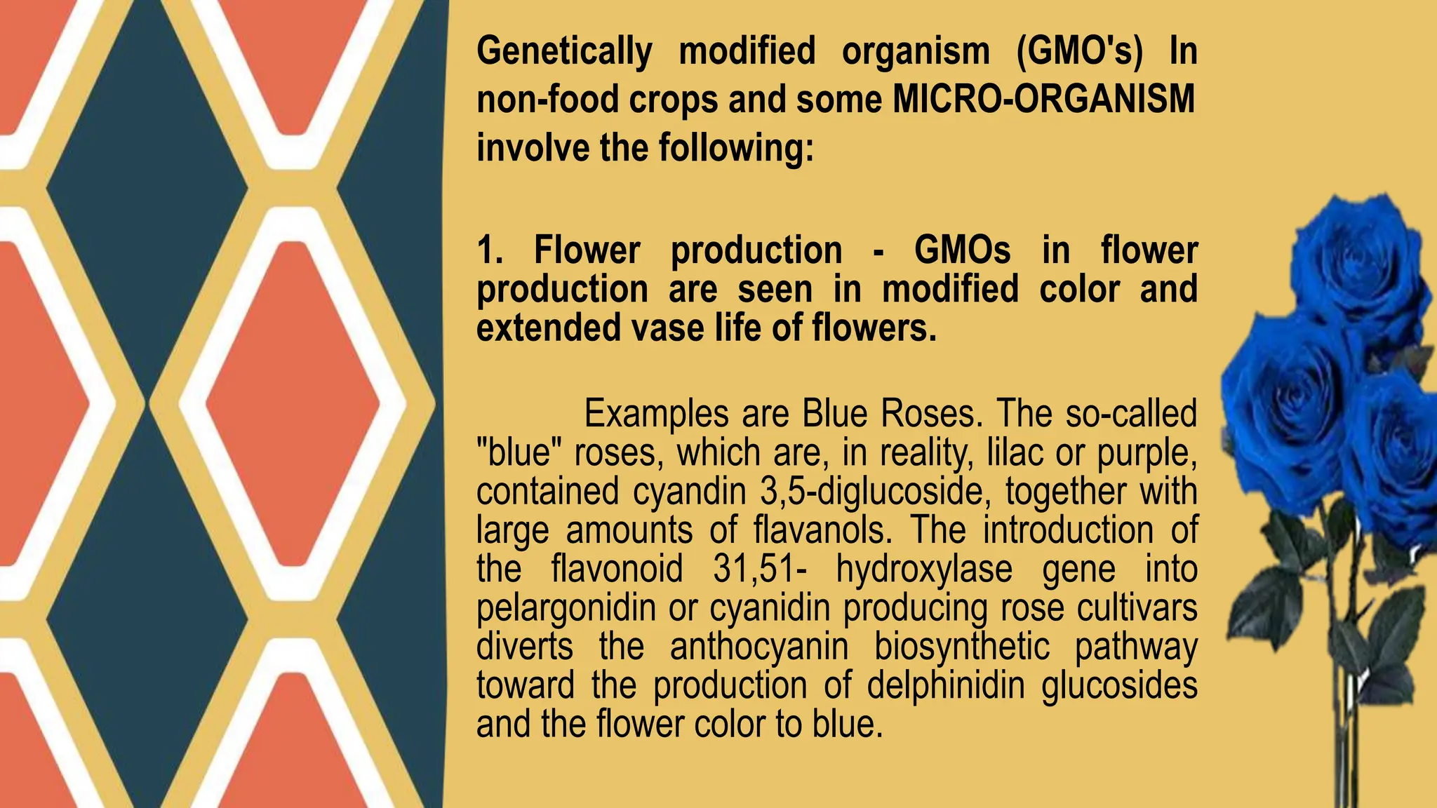 Genetically Modified Organisms (GMO).pptx