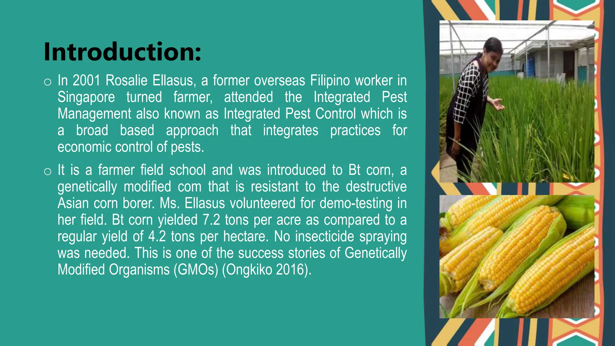 Genetically Modified Organisms (GMO).pptx