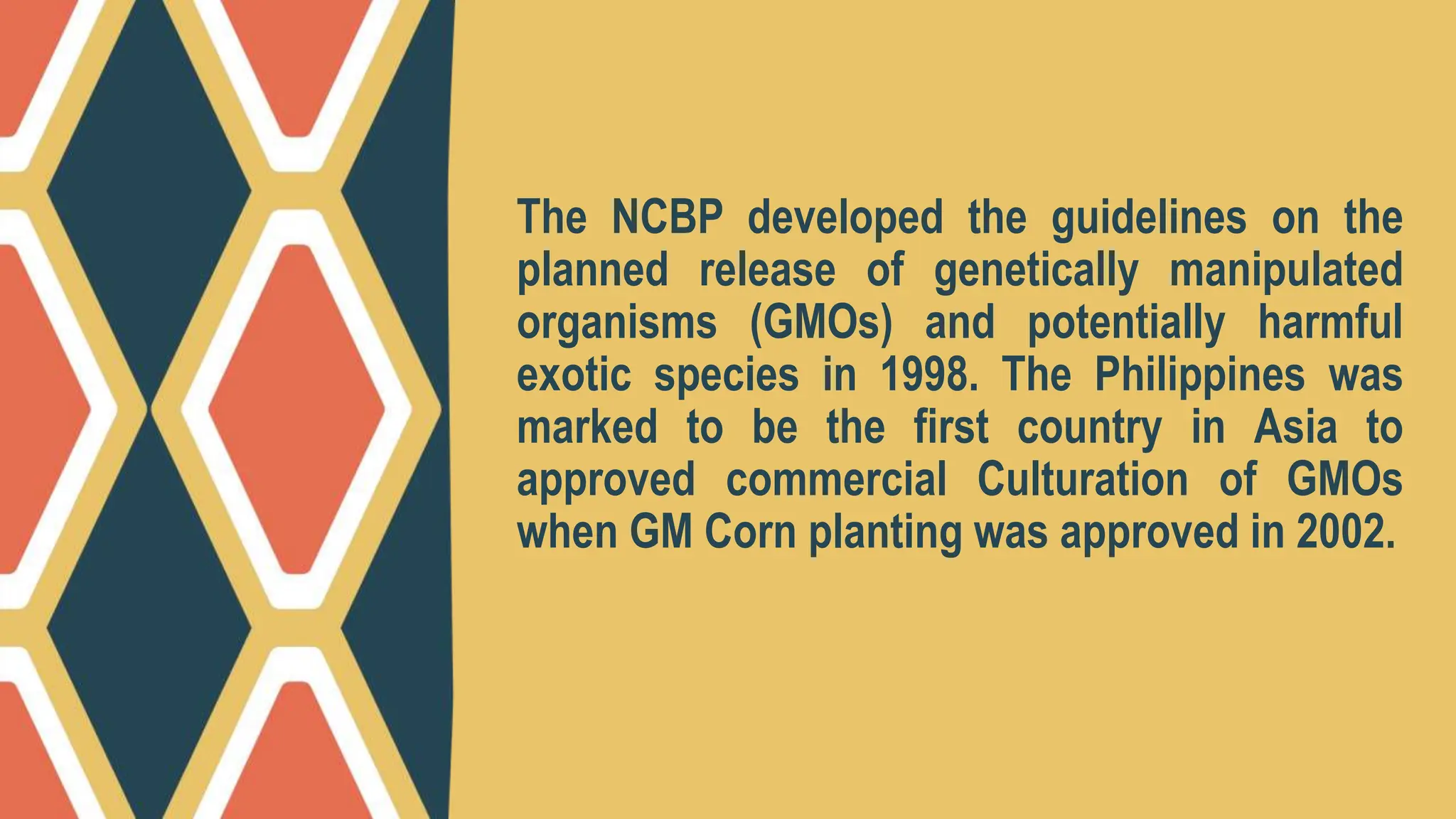 Genetically Modified Organisms (GMO).pptx