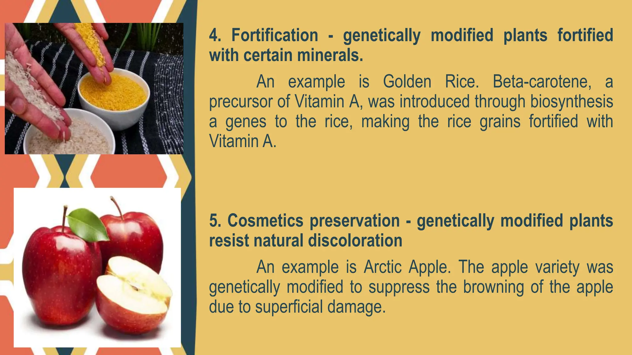 Genetically Modified Organisms (GMO).pptx