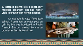 Genetically Modified Organisms (GMO).pptx