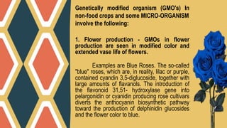 Genetically Modified Organisms (GMO).pptx