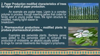 Genetically Modified Organisms (GMO).pptx