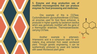 Genetically Modified Organisms (GMO).pptx