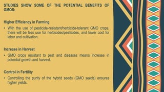 Genetically Modified Organisms (GMO).pptx