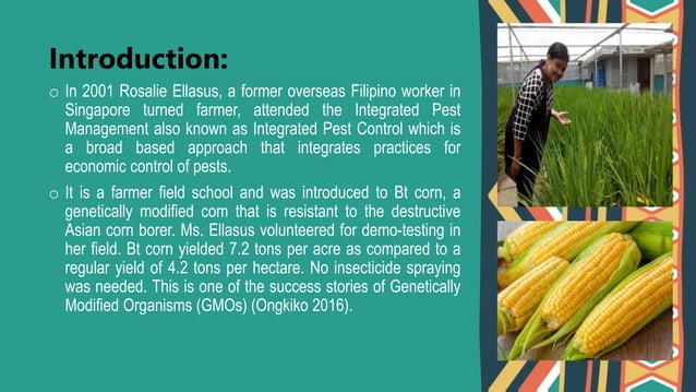 Genetically Modified Organisms (GMO).pptx