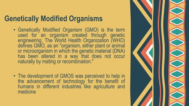 Genetically Modified Organisms (GMO).pptx