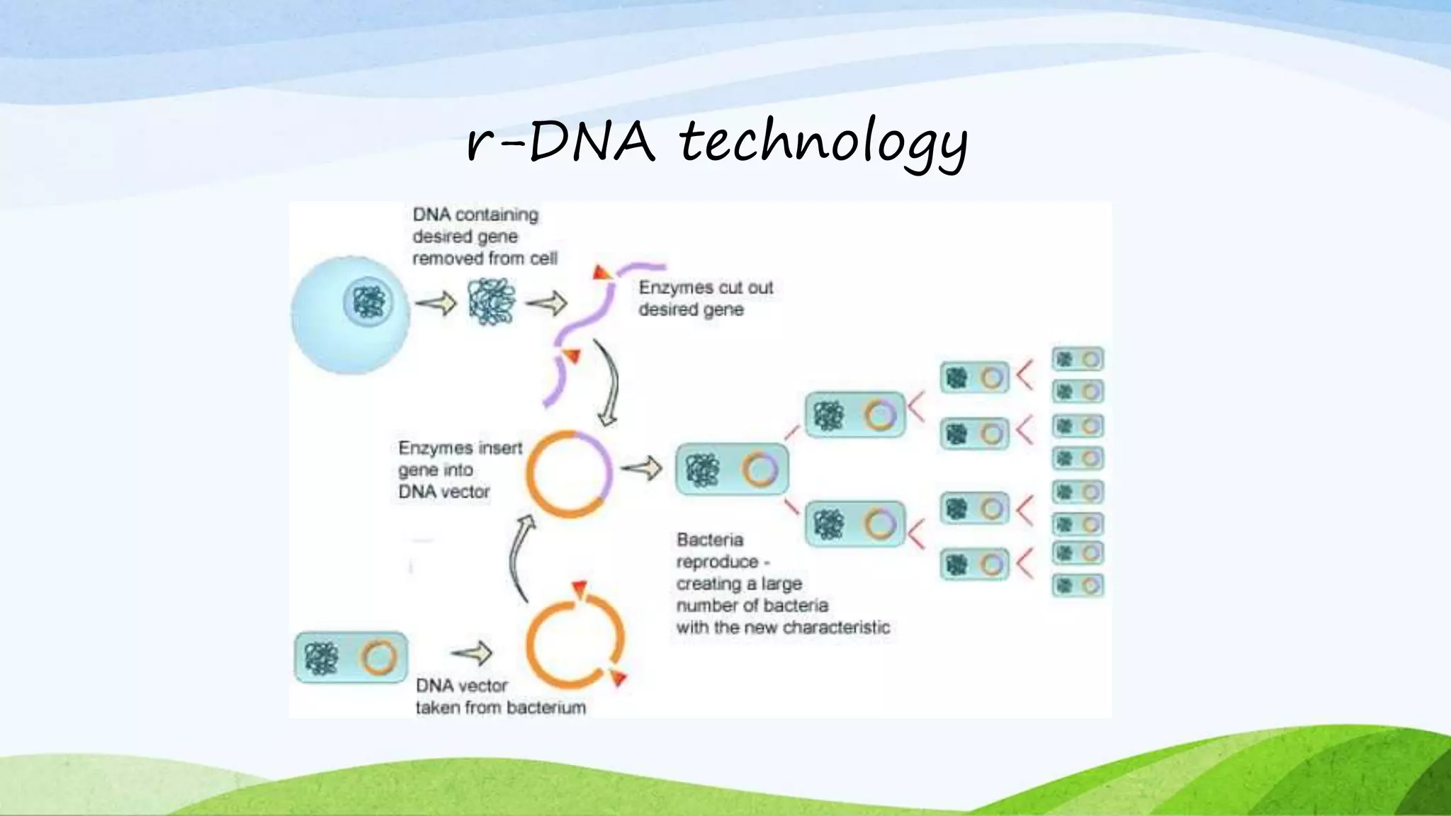 Genetically engineered drugs | PPTX