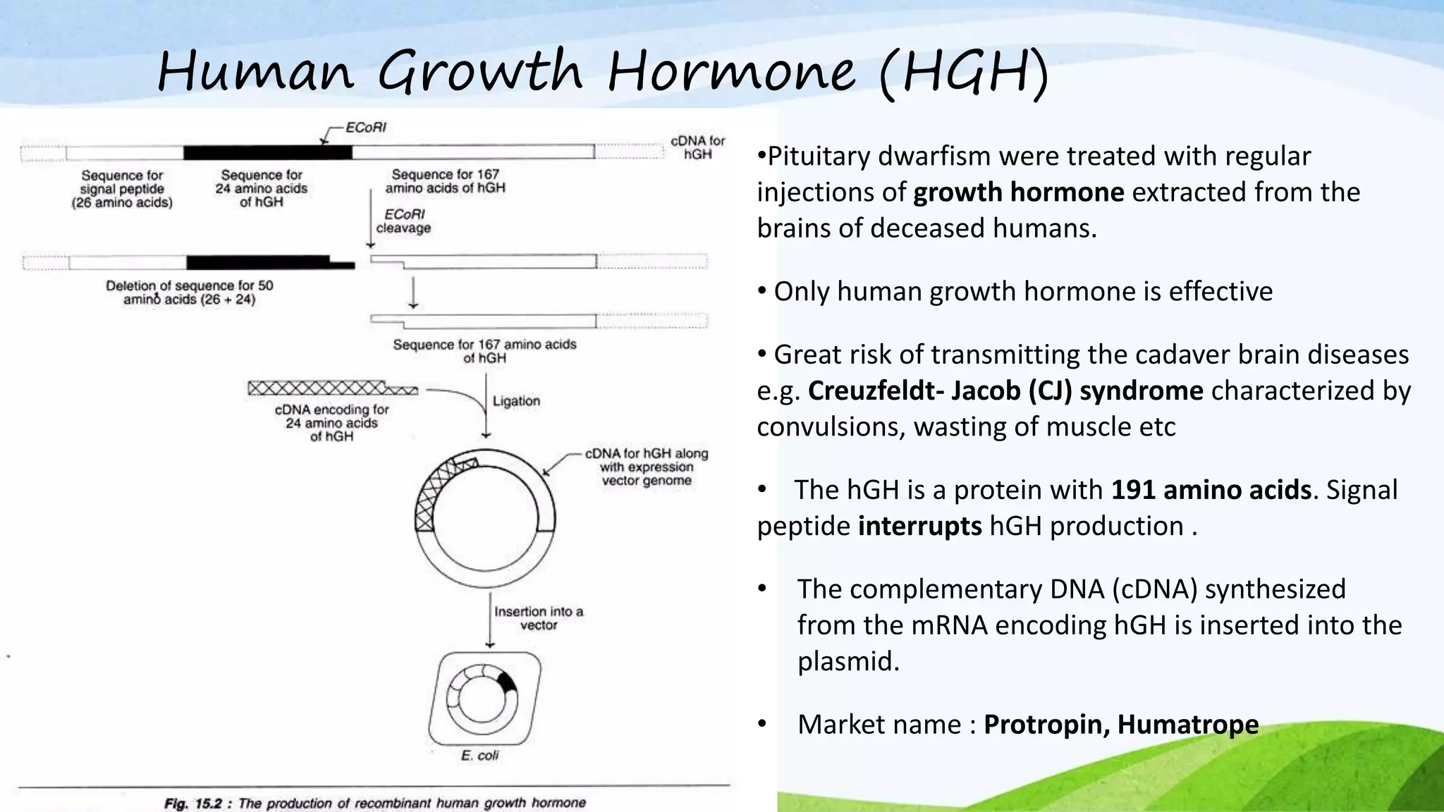 Genetically engineered drugs | PPTX