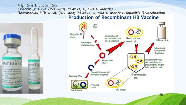 Genetically engineered drugs | PPTX