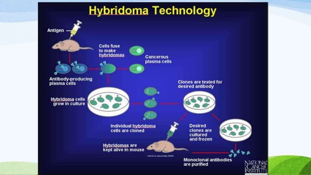 Genetically engineered drugs | PPTX