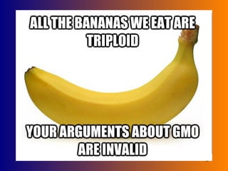 Reginald Meme Banana
