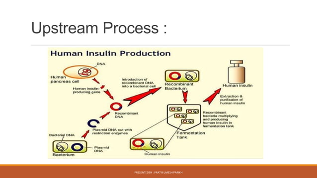 Insulin - Genetically engineered Product | PDF