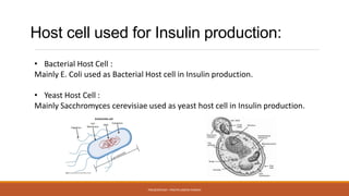 Insulin - Genetically engineered Product | PDF